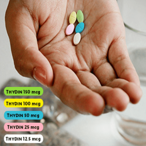 Thydin (Levothyroxine) | MedChoice
